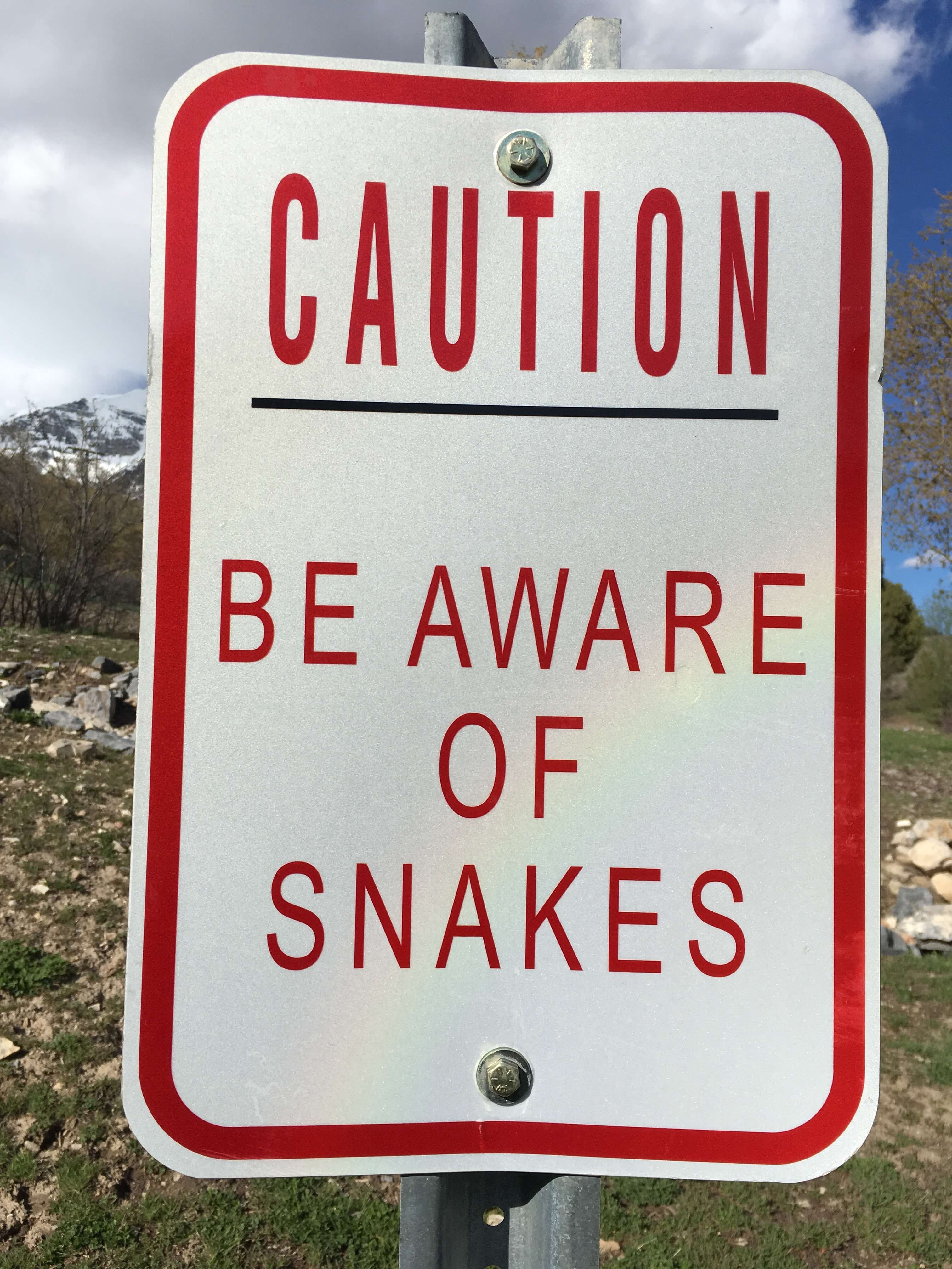 Lessons From Snakes